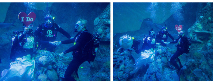 This couple's underwater wedding is seriously wild :: Khush Mag